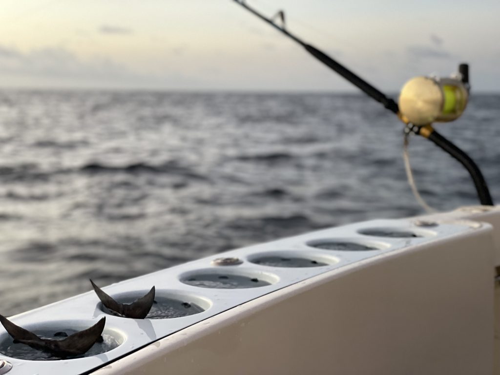 Blackfin Bait Socks - Easy to Install Tuna Tubes